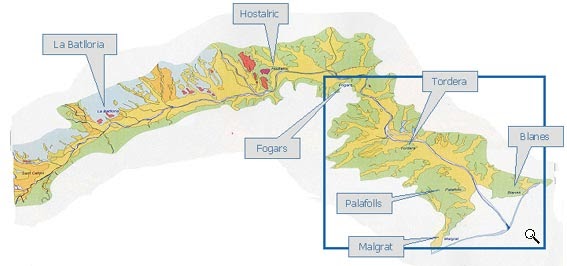 el meu gos i jo: El delta de la Tordera
