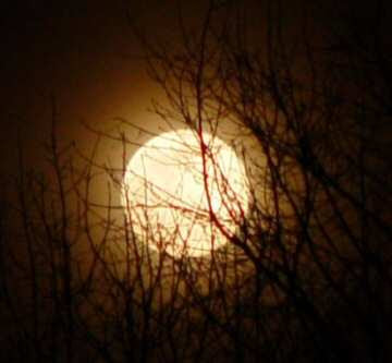 Reincarnation: What is Reincarnation