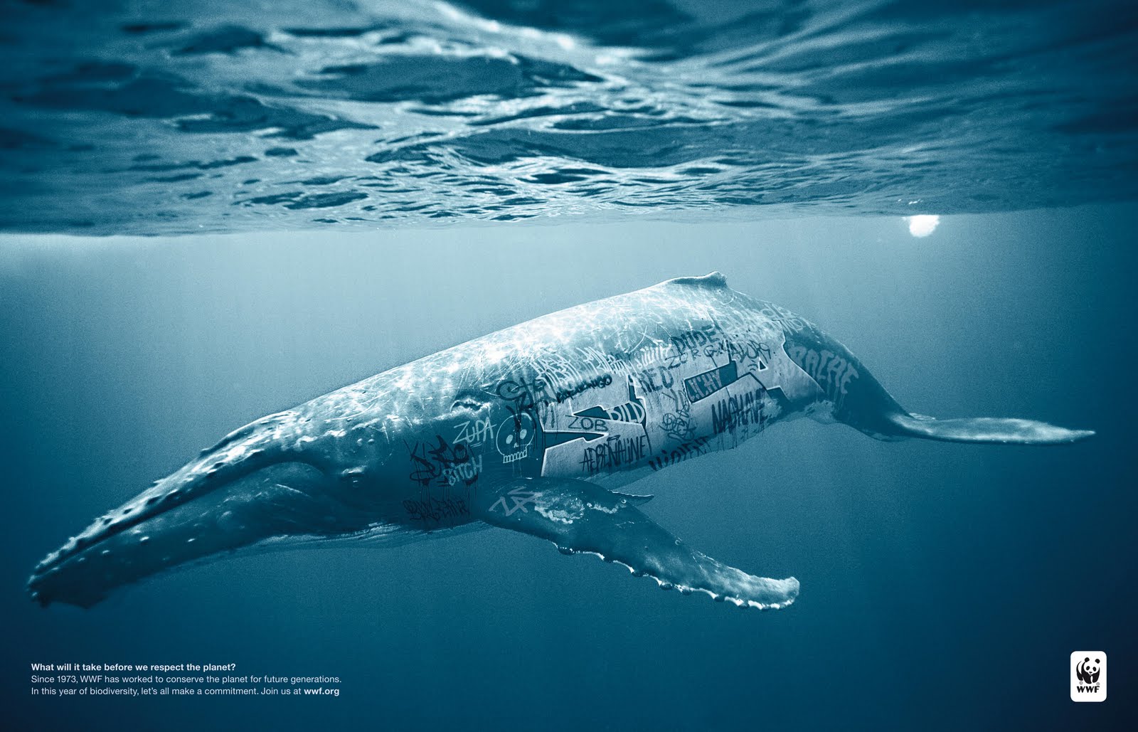 crcw: wwf - whale