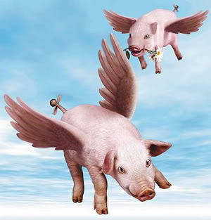 mamabishop: Flying Pigs