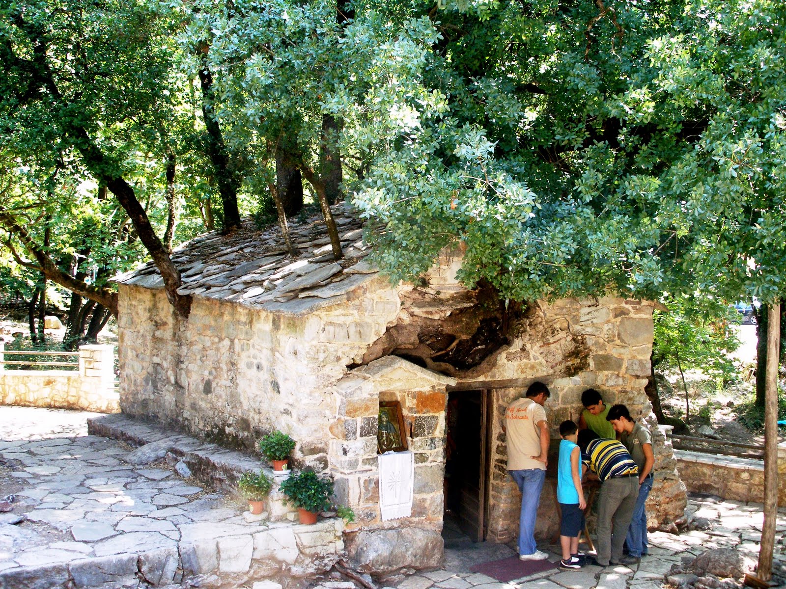 Ελαιώνας Πύργου Ηλείας: ΑΓΙΑ ΘΕΟΔΩΡΑ -ΤΟ ΘΑΥΜΑ ΤΗΣ ΦΥΣΗΣ