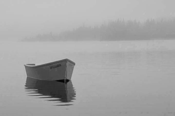 Creaky Row Boat: Shutters