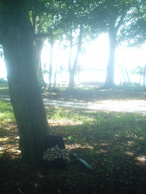 BERPETUALANG KE ACEH: The origin of the name Beruas.