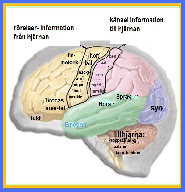 Tappa inte taget Blogg om hälsa: Var har jag mina fötter?