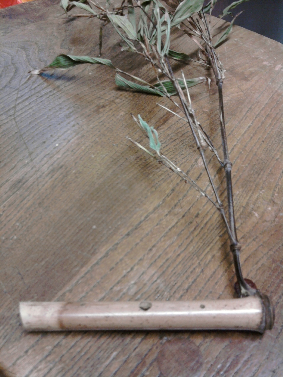 Vulpestruments: Bamboo Koudi