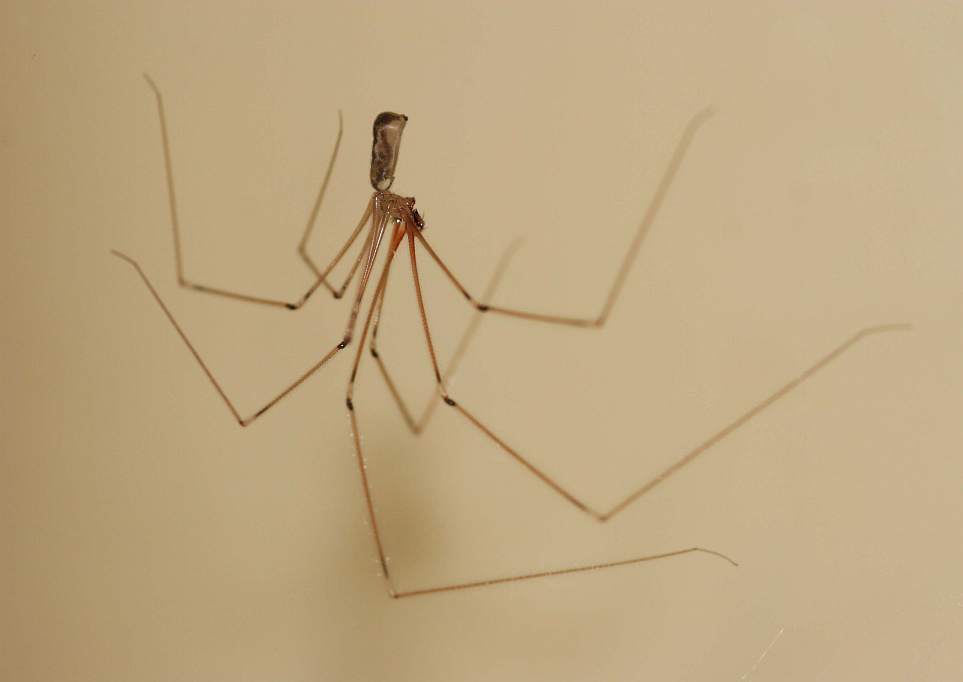 Abenteuer in Deutschland: No one warned me...