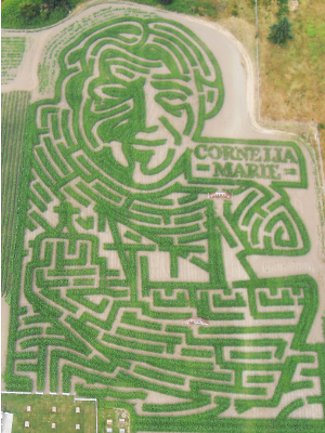 JoWii's World: 8 Amazing Corn Field Mazes