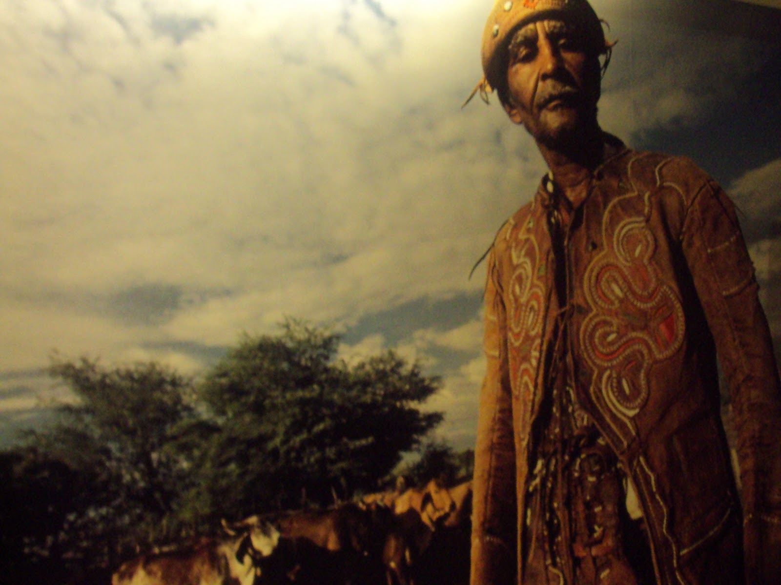 8° B: O Nordeste e os Nordestinos...