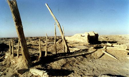 elsa yuen袁鳳如 如此漂亮美女為了滿足肉欲而超淫亂中出