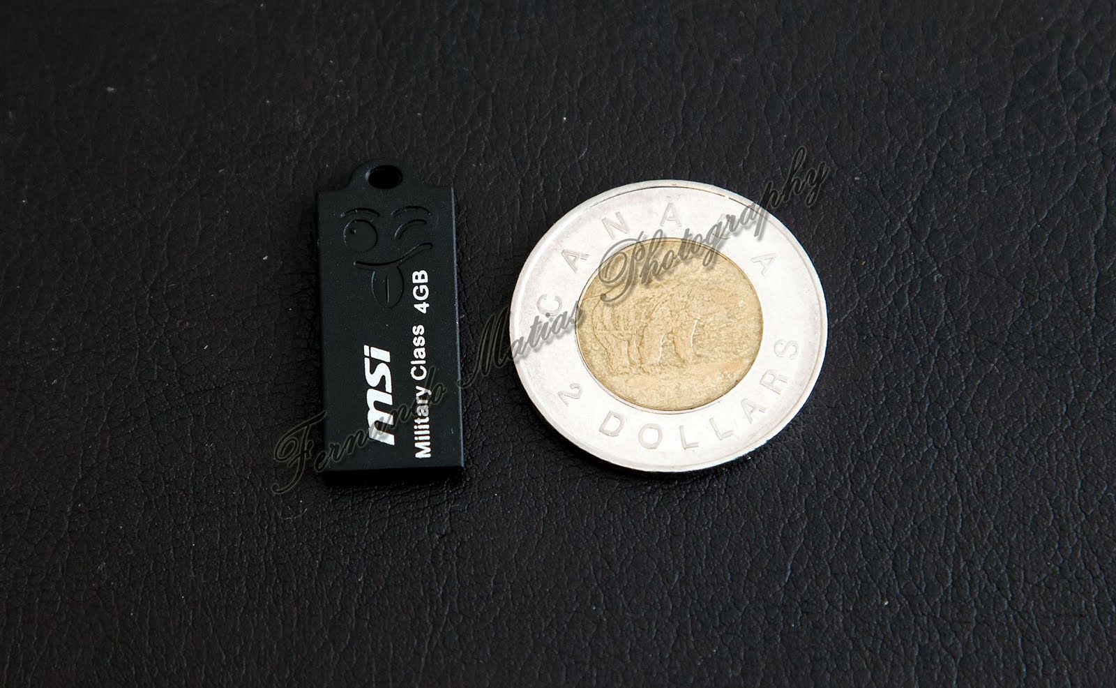 Fernando Matias Photography - Ottawa Ontario - Ottawa Wedding ...