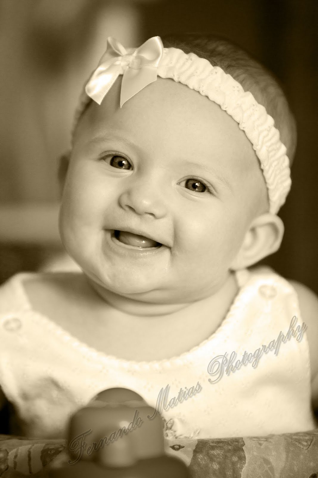 Fernando Matias Photography - Ottawa Ontario - Ottawa Wedding ...