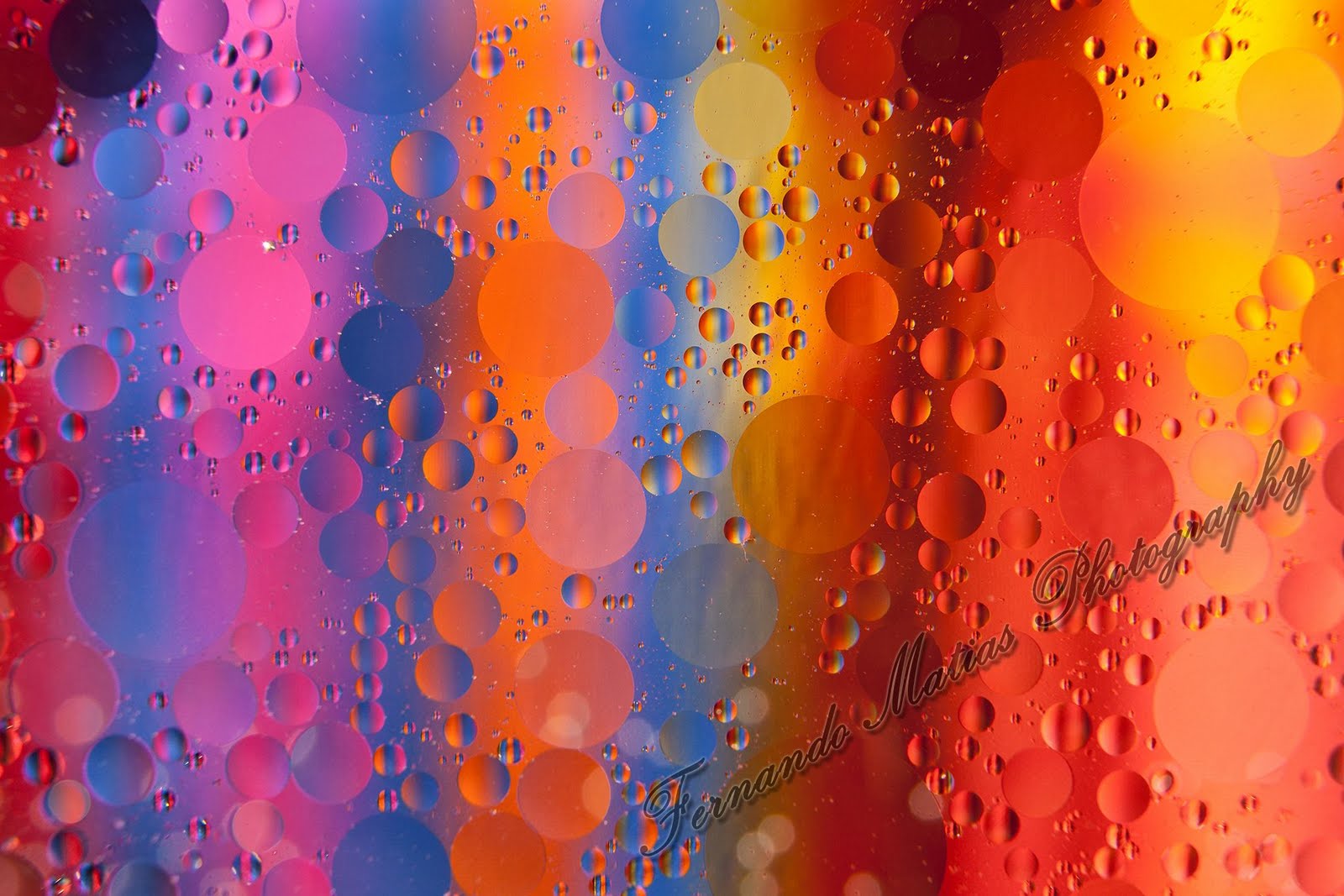 Fernando Matias Photography - Ottawa Ontario - Ottawa Wedding ...