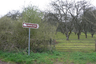 A bluebell wood in Bristol at Abbots Leigh