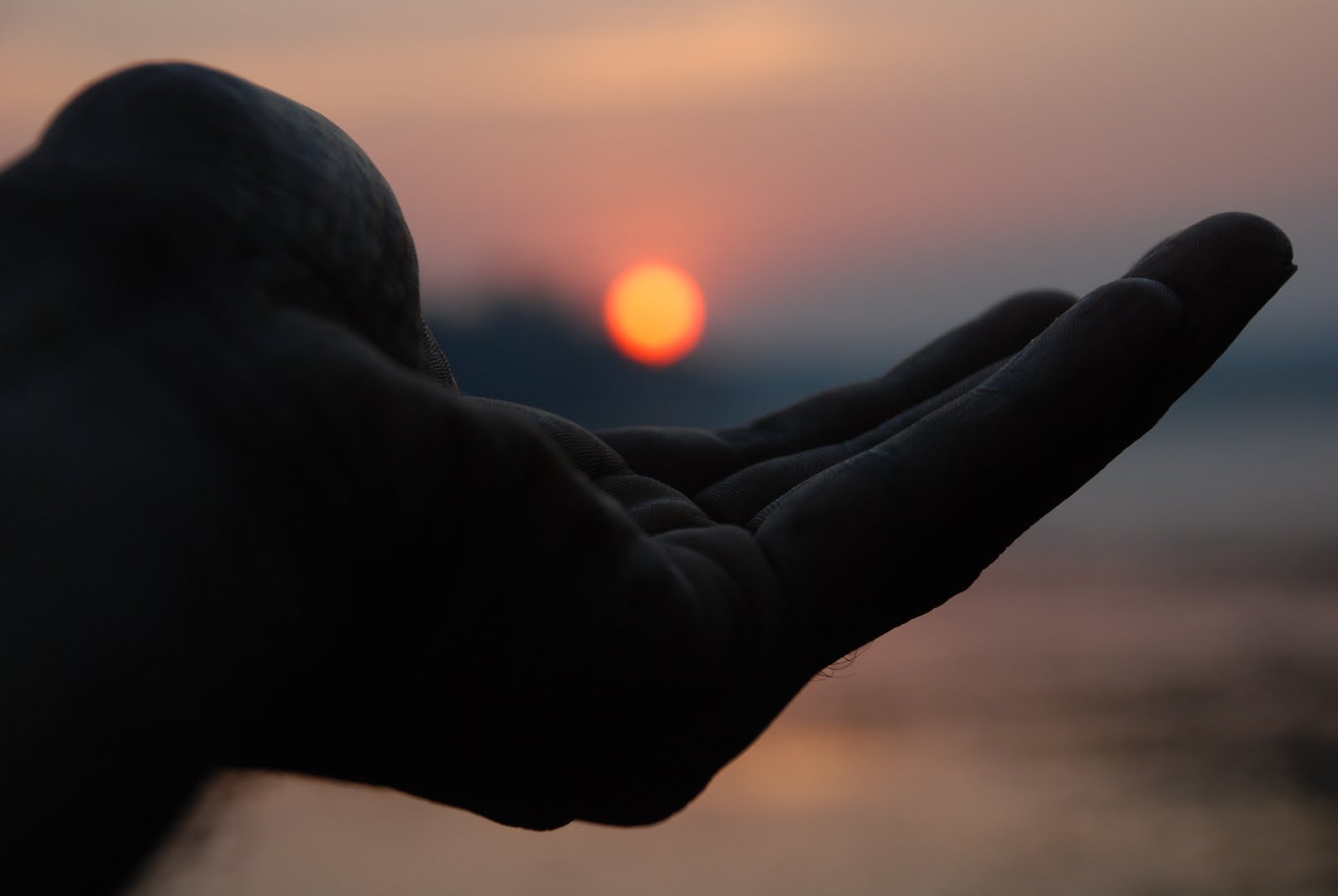 pavumba പാവുമ്പ: Pavumba Image Gallery