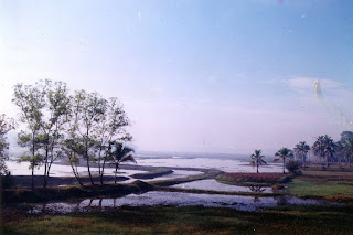 pavumba പാവുമ്പ: Pavumba Image Gallery