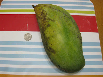 NANNIE`S PASSION: BUAH MANGGA UDANG