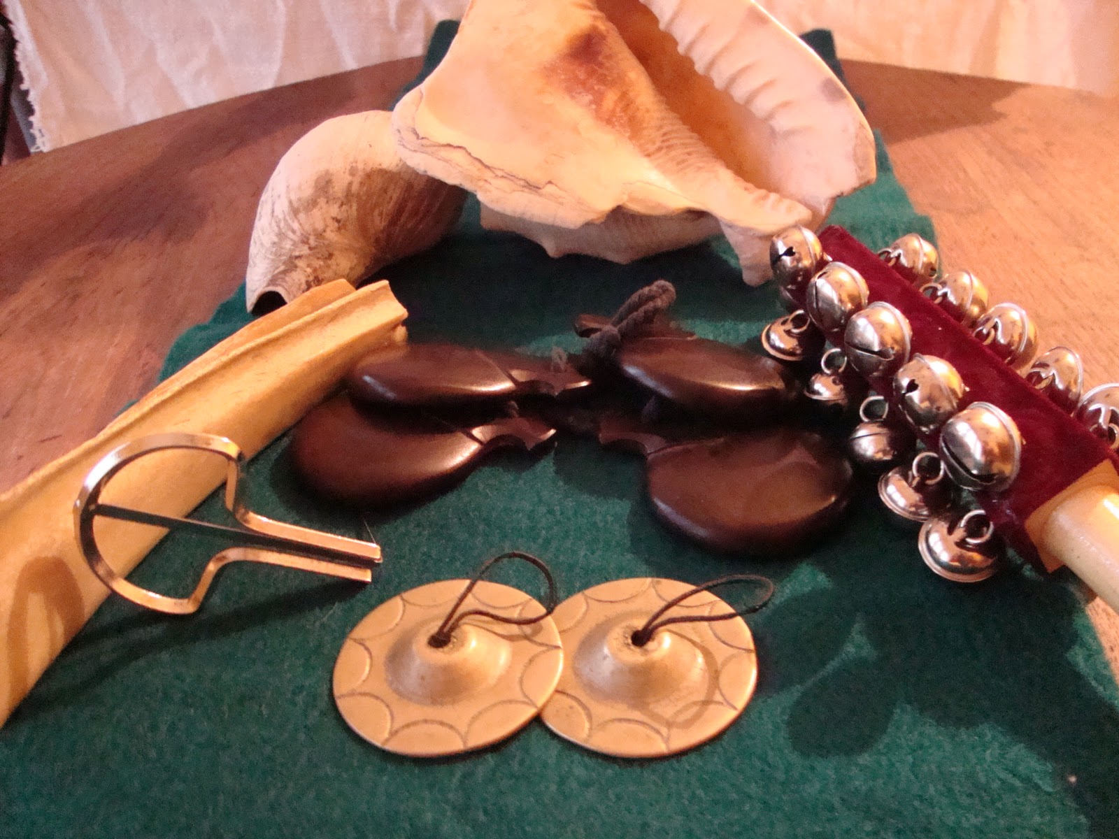 Ensamble Cantus Firmus: Instrumentos