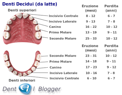 Dental Blogger: Denti Decidui