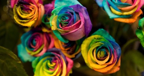 Las verdaderas flores multicolores