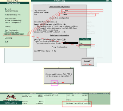 Colorful Dreams: Tally 9 ERP Syncronization How To Step by Step