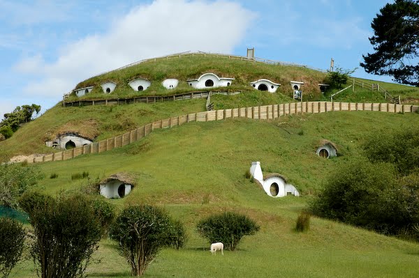 Hobbiton: Sheep 1, Hobbits 0 ~ Kuriositas