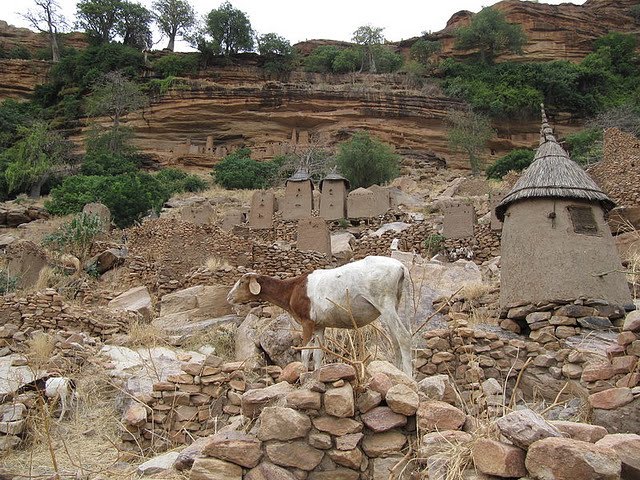 In the Land of the Dogon ~ Kuriositas