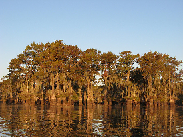 Atchafalaya – the Biggest Swamp in the States ~ Kuriositas
