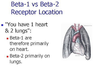 Respiratory Care K.I.S.S.: 2009