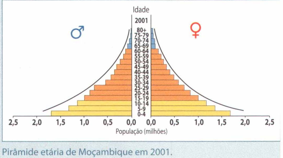 Tipos De Pirâmides Etárias - FDPLEARN