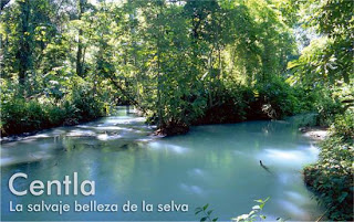 Naturaleza de Tabasco...: Biosfera de los pantanos de Centla