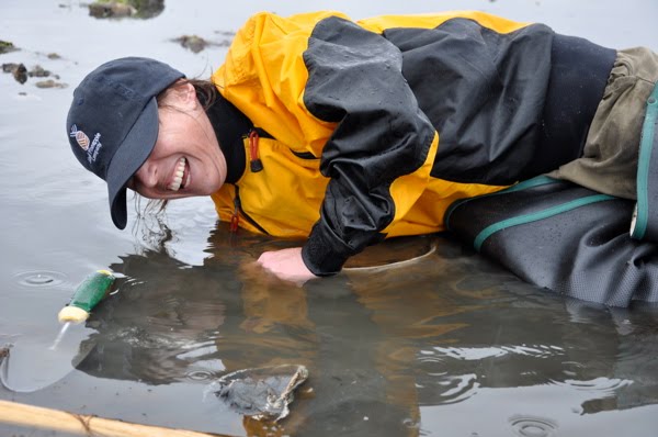 geoduck | Langdon Cook