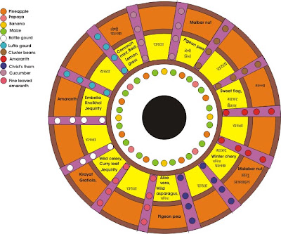 Natueco Farming Science: GANGAMA MANDAL.