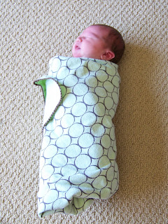 Near to Nothing: Baby Burritos!!