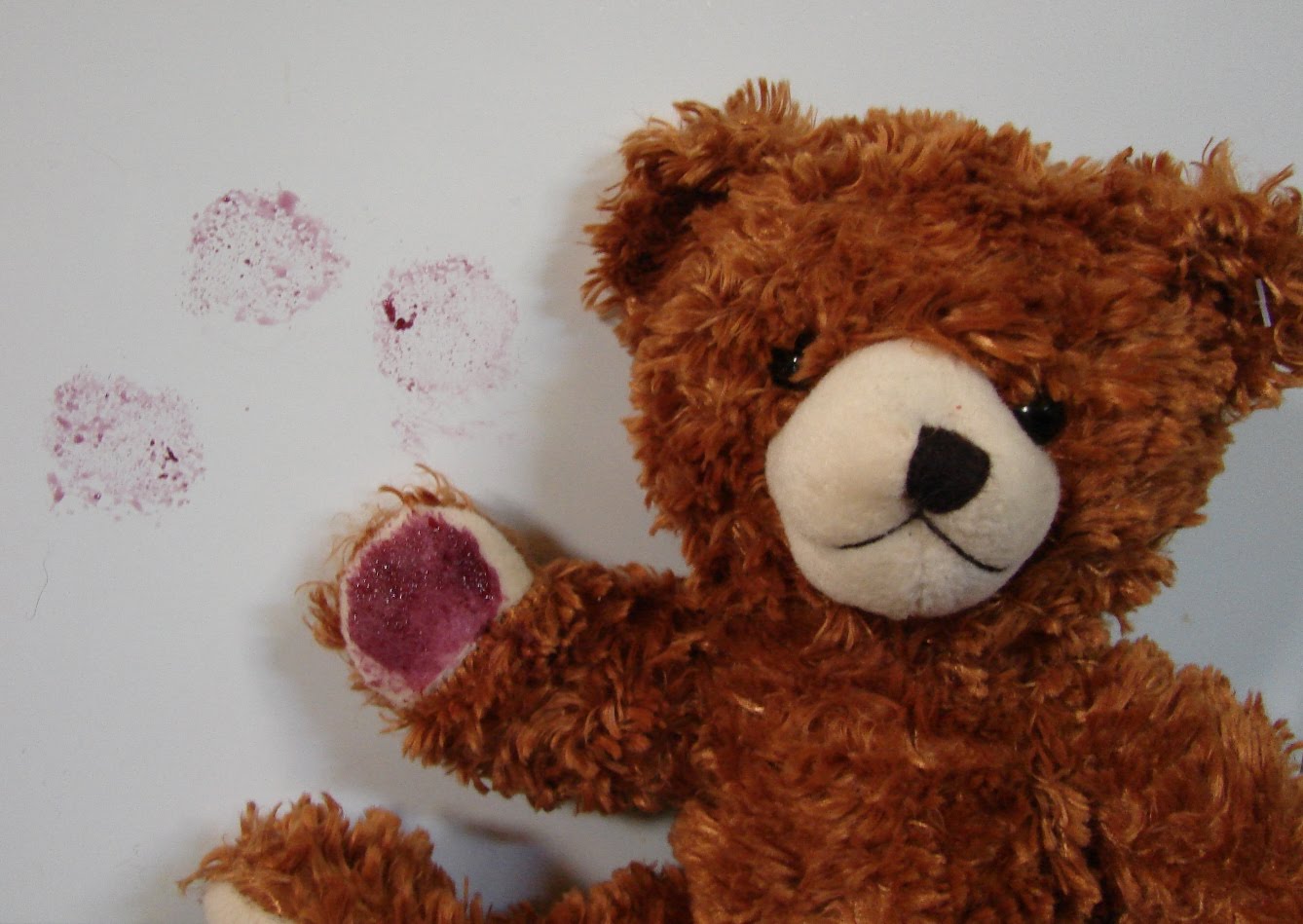 Debbie Cowens: My First Forensic Alphabet