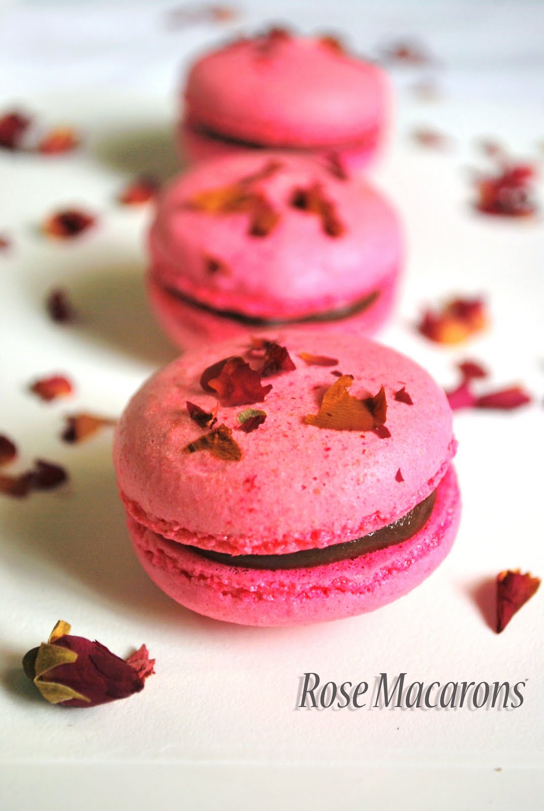 Sweets and Loves: Rose Macarons - With White or Dark Chocolate?