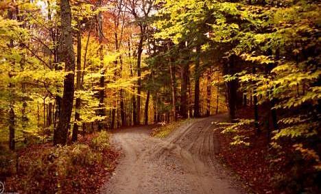 Windtraveler: Why Take The Path Less Chosen?