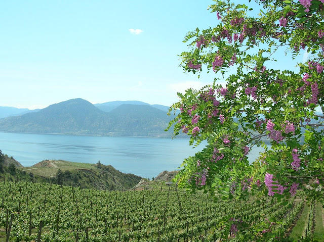 more than burnt toast: Cooking Light Virtual Supper Club Shares ...