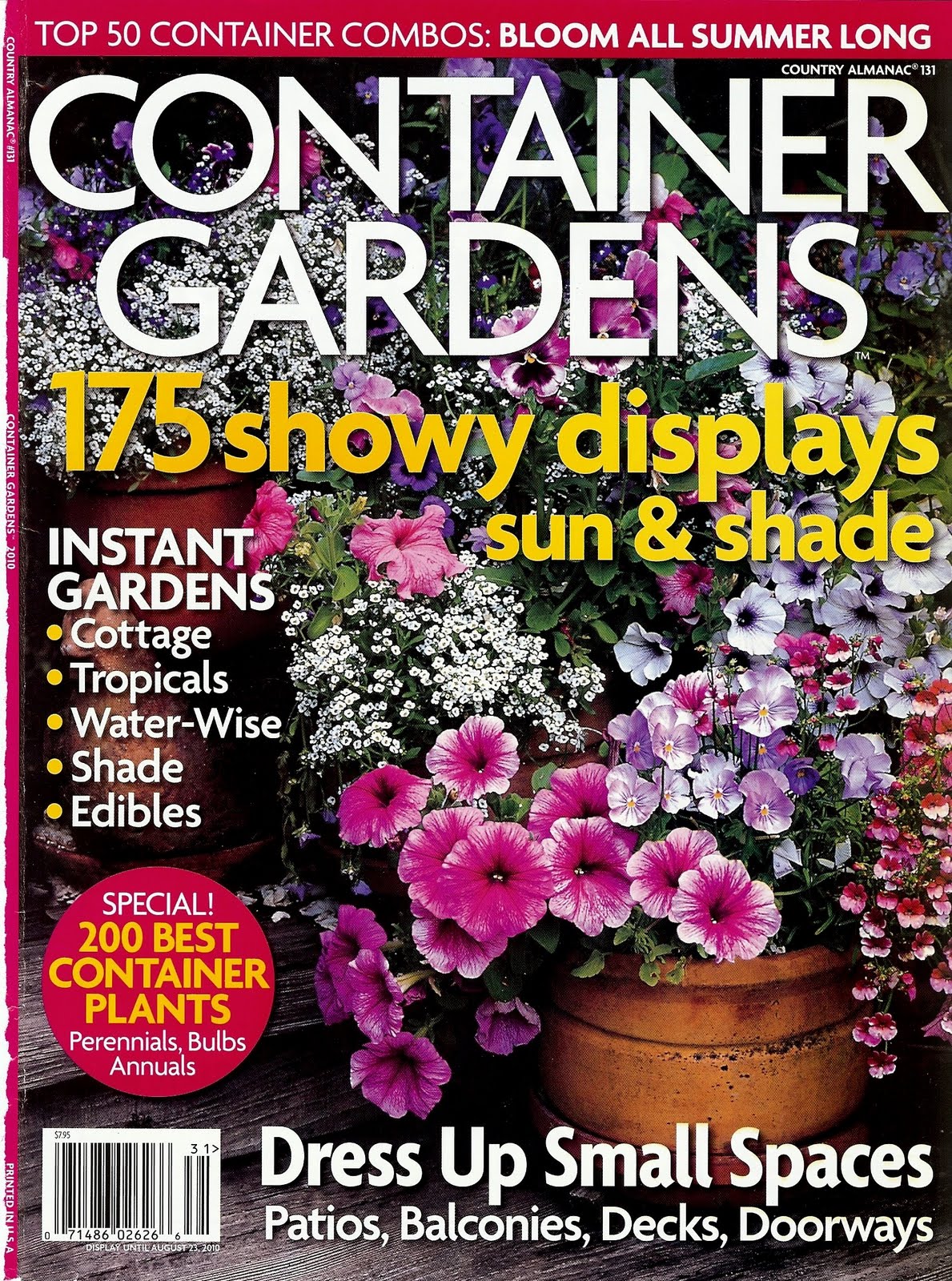 My Painted Garden: Container Gardens