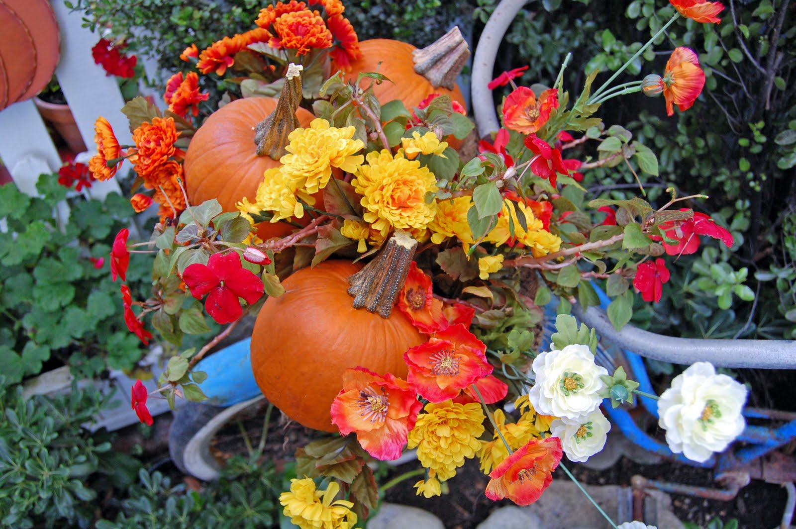 My Painted Garden: Mums and Pumpkins