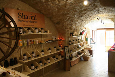 Perfume Shrine: Mystery of Musk: Graines de Paradis by Sharini review