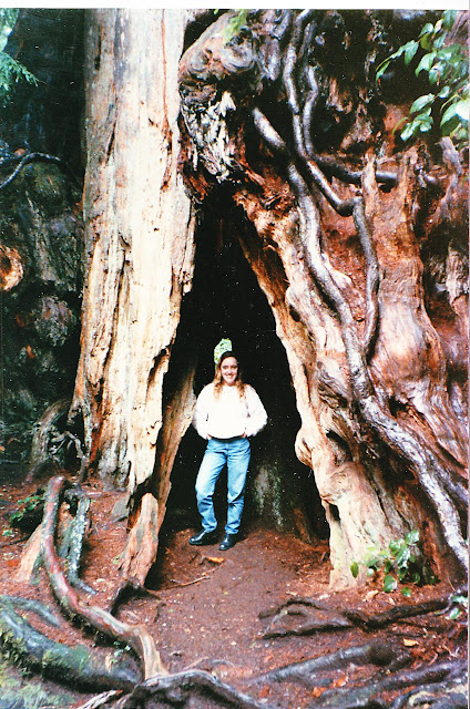 PATTI COSTELLO MEMORIAL: My friend Patti Costello aka Patricia Evans