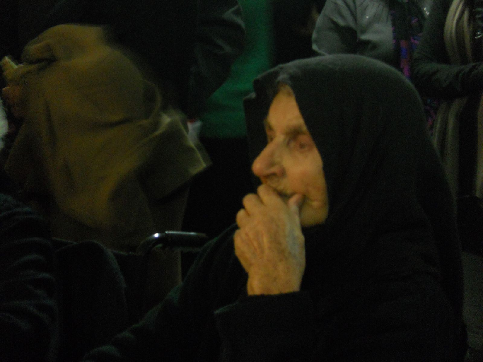 ΑΓΙΟΣ ΑΘΑΝΑΣΙΟΣ ΠΛΑΤΑΝΙΟΥ ΚΩ: ΣΤΟΛΙΣΜΑ ΧΡΙΣΤΟΥΓΕΝΝΙΑΤΙΚΟΥ ΔΕΝΤΡΟΥ ΣΤΟ ...