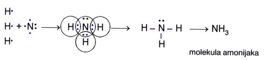 Instrukcije iz matematike, kemije, fizike, biokemije, statistike ...