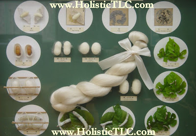 Excavating The Past: A Record of Struggle and Triumph: How Silk Is Made?