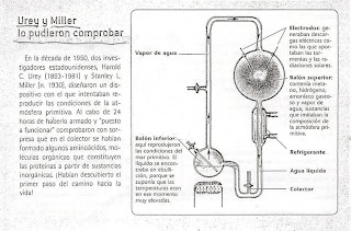 CMC: El caldo primitivo