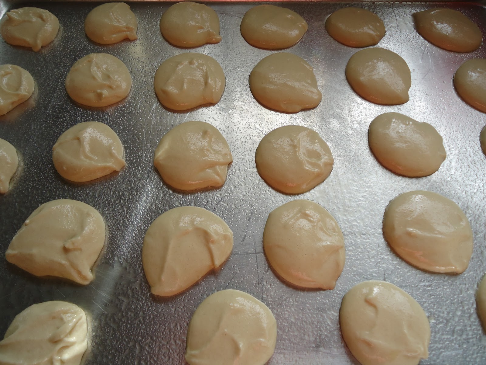 Fishful Thinking: German Anise Cookie Recipe - Anise Hats Thanks ...
