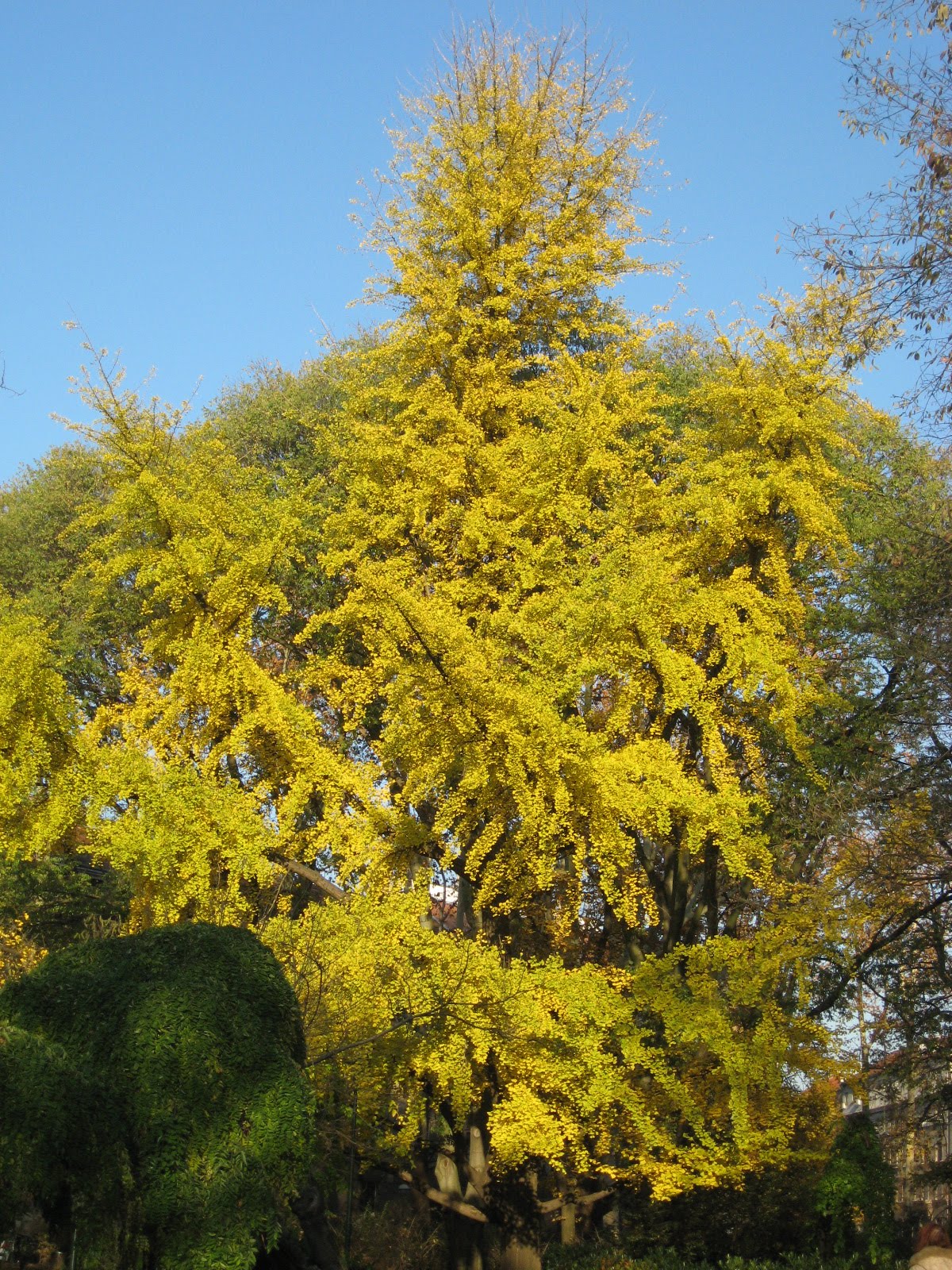 GINKGO FOTO GALLERY •: • FOTO GALERIJA - Sve ostale lokacije - 5 •