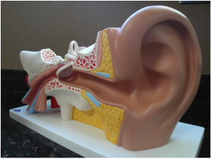CC Afterschool: Science of Sound