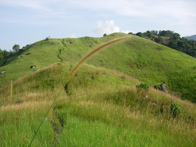 CasualZOnE 逍遥站: Broga Hill @ Semenyih (茅草山 @ 士毛月)