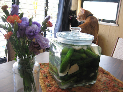 How to Be Israeli: How to make Israeli Pickles